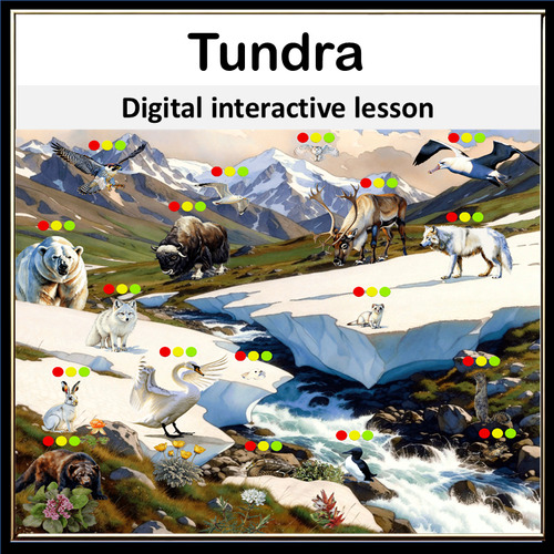 tundra lesson