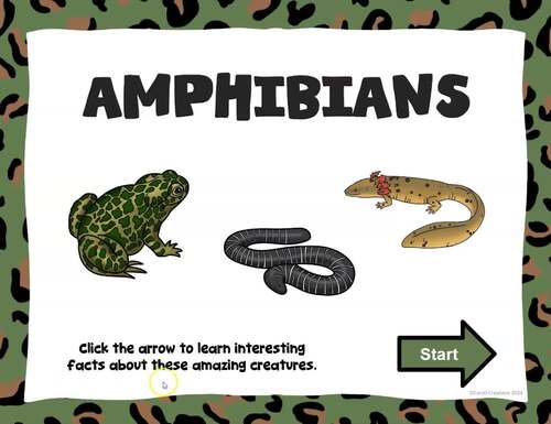 Reptiles and Amphibians Digital Scavenger Hunts Bundle by CarolJ Creations