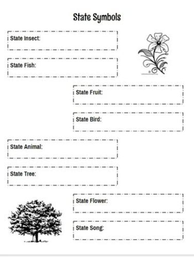 State Research Graphic Organizer by Benji and Sam's Teacher Boutique