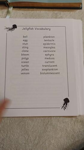 Jellyfish Unit Study | Jellyfish Science Worksheets, Life Cycle ...