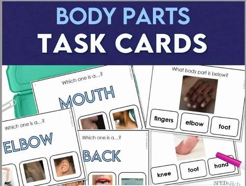Parts of the Body Identification Task Cards for Special Education ...