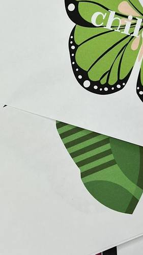 1st and 2nd Grade Irregular Plural Practice Board Game Butterfly Themed