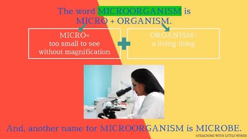 Microorganisms Lessons & Guided Notes | DIGITAL & Print | TPT