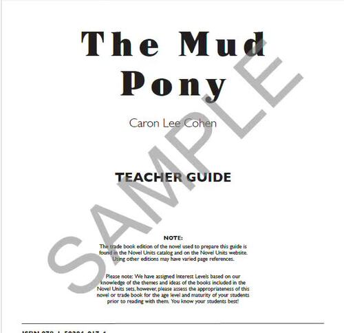 The Mud Pony Novel Units® Teacher Guide Novel Study | TPT