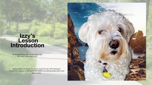 Choices Consequence Cause Effect Responsibility NO PREP SEL LESSON w 4 vid