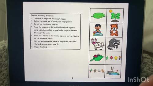 Food Chain Worksheets For Special Education by Where I AUT-a Be | TPT