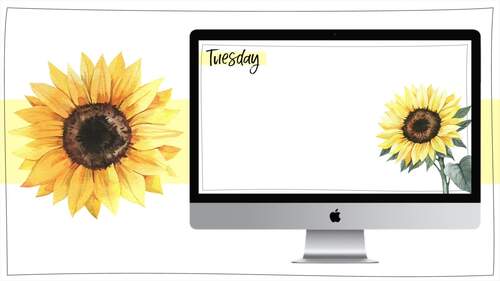 Sunflower Slides with Timers **Google and PowerPoint Slides Included**