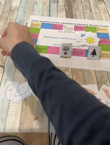 Cell Respiration and Photosynthesis Board Game by Growing New Scientists