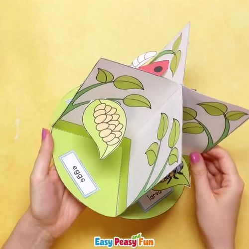 Ladybug Life Cycle Craft | 3D Diorama Craft Activity by Easy Peasy and Fun