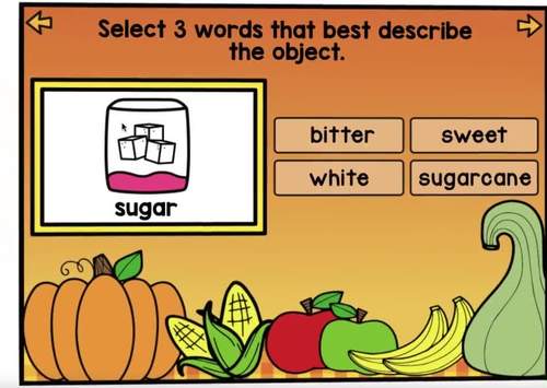 Describing Objects Thanksgiving Edition Boom™ Cards by Teacher Camille