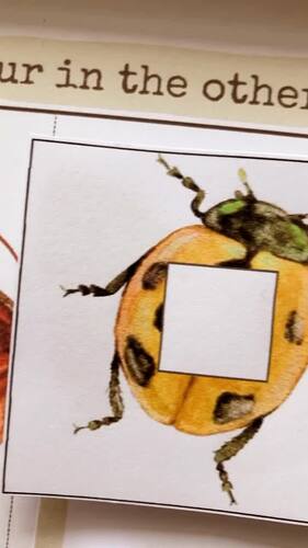 Mini Beasts Insects Activities | Preschool & Kindergarten Worksheets ...