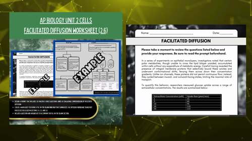 AP Biology UNIT 2 Cells 2.6 Facilitated Diffusion MCQ and Label Worksheet