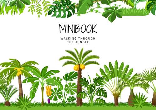 Walking through the jungle: pack with 6 activities! by Light the teacher
