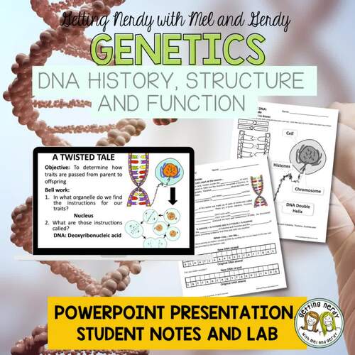 DNA History, Structure and Function - PowerPoint and Notes | TPT