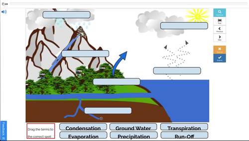 Biogeochemical/ Nutrient Cycle Boom Cards (Carbon, Water, Nitrogen ...