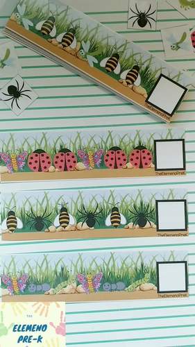Insect / Bug Pattern Cards by ElemenoPreK | TPT