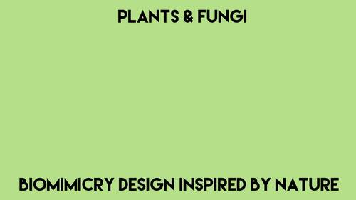 Plants & Fungi Project | Biomimicry Design Activities | Nonfiction | STEAM