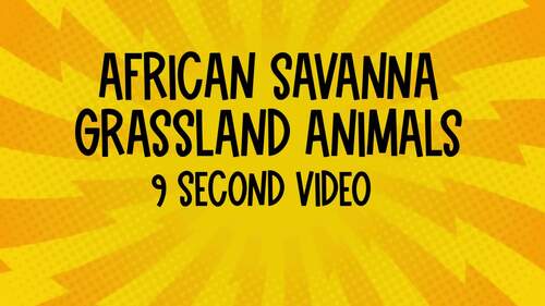 Savanna Grassland Animal Habitat Photos, Videos| Elementary Science ...