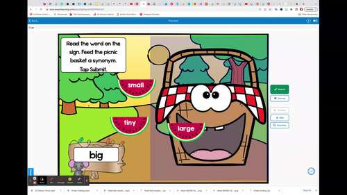 Feed the Camping Friends Synonyms BOOM Cards by Little Library of Learning