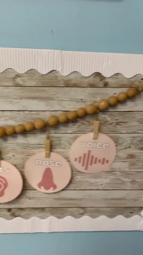 Speech Therapy - Speech-Language Pathology Decor Bundle - Warm Tones