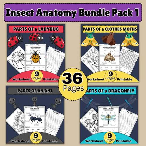 Insect Anatomy Bundle | Parts of Insects Worksheets, Labeling ...