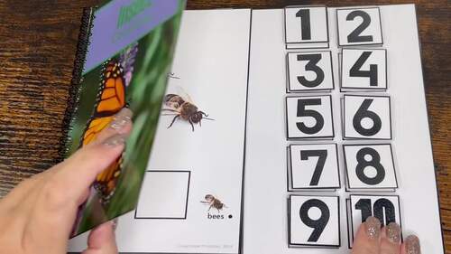 Insect Counting Adapted Book with Real Pictures / Bug Counting Adaptive ...