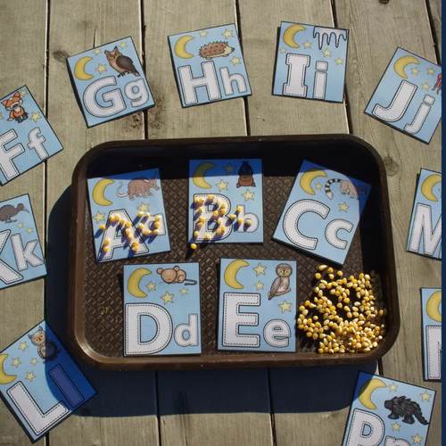 Nocturnal Animal Preschool Curriculum: Math and Literacy Centers!