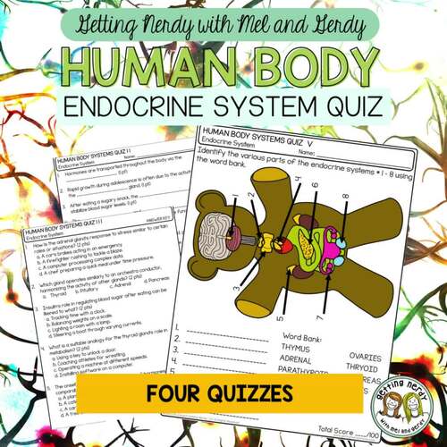 Endocrine System | Human Body | Gland Structure & Function Quizzes ...