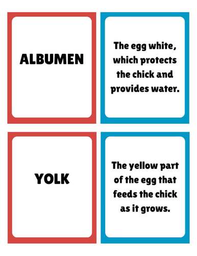Life Cycle of a Chicken: Reading Comprehension, Writing Prompts, and ...