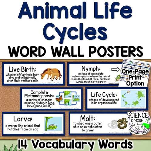 Animals Life Cycles Science Vocabulary Word Wall Posters | TPT