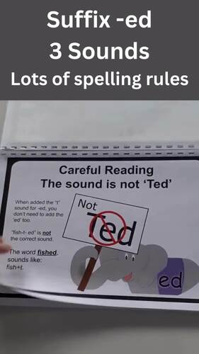Suffix ED - 3 Sounds id, d, t, Booklet - Spelling Patterns - 1:1:1 + more