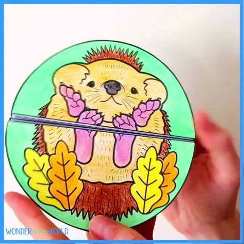 Life cycle foldable activities mega bundle for different animal groups