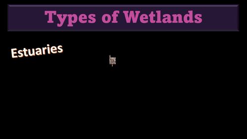 AP Environmental Science Human Impact on Wetlands and Mangroves Lesson ...