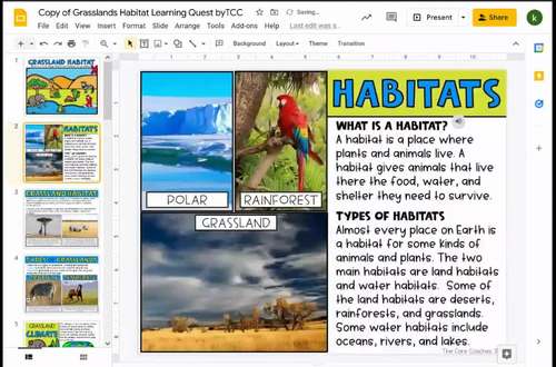 Grassland Animal Habitat Independent Work - Print & Digital Activities