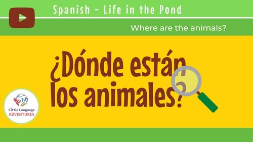 Spanish Instructional Video ~ Where Are the Animals? | TPT