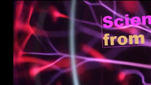 Ecology Feeding Levels Unit Food Chains by Science from Murf LLC