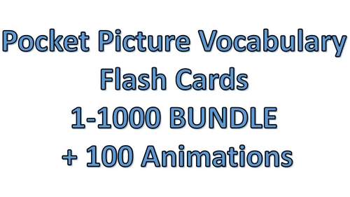 Pocket Picture Vocabulary Flash Cards 1-1000 BUNDLE Grades PK-2 + 100 ...
