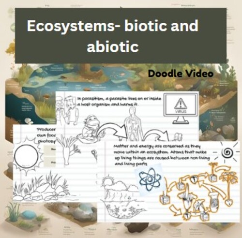 Ecosystems- biotic and abiotic (doodle video) | TPT