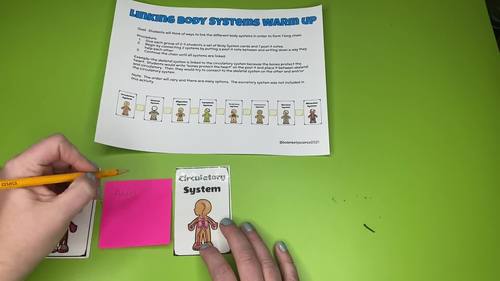 Body Systems Working Together Activities by BodenKelly Science | TPT