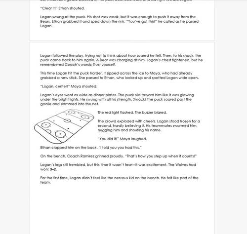 Differentiated Ice Hockey Reading Comprehension Worksheets & Organizer ...