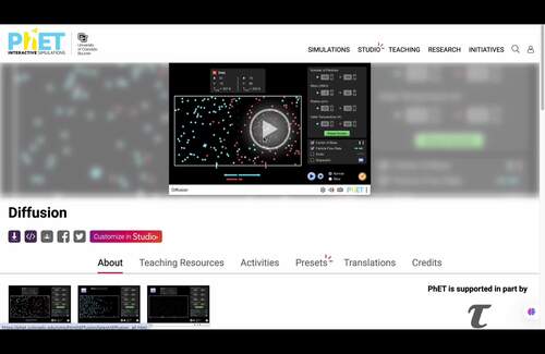 Worksheet: Investigating Diffusion Using PhET Simulation (No Prep)