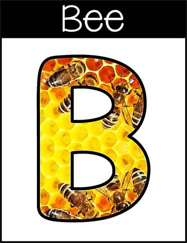 Real World Alphabet Posters by Primary Polished | TPT