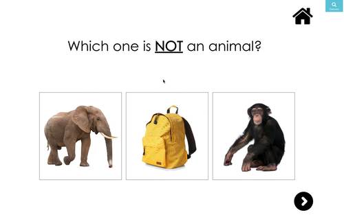 Understanding Negation- Category, Function and Color by A Perfect Blend