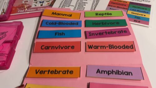 Animal Classification MEGA Sort Game Task Card S5L1 Science Georgia 5th ...