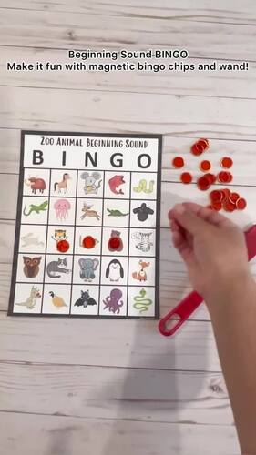 Alphabet Bingo Zoo Animal Phonics by Liv and Leb | TPT