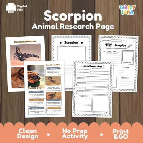 Scorpion Animal Research Report | Arachnid Science | Real Image ...