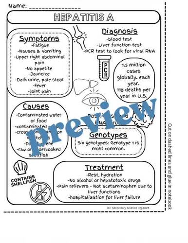 Food Borne Pathogens Doodle Notes, Study Guide, and Review | Health