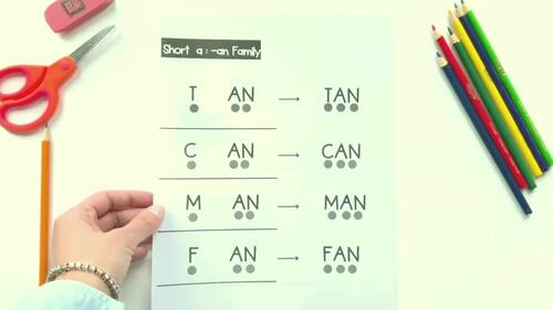 Phonics Worksheet CVC CCVC AN Family Short a Vowel Decoding Encoding ...