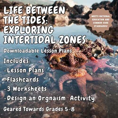 Life Between the Tides – Exploring Intertidal Zones for Grades 5-8