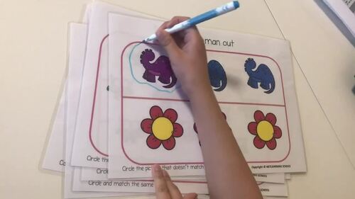 Boost Focus, Attention & Self-Control: Engaging Visual Discrimination K-2